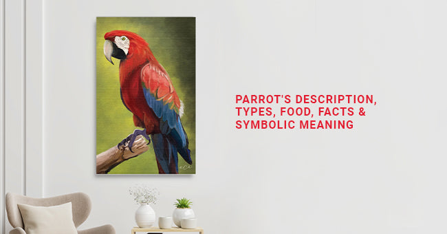 Parrot's Description, Types, Food, Facts & Symbolic Meaning – eCraftIndia